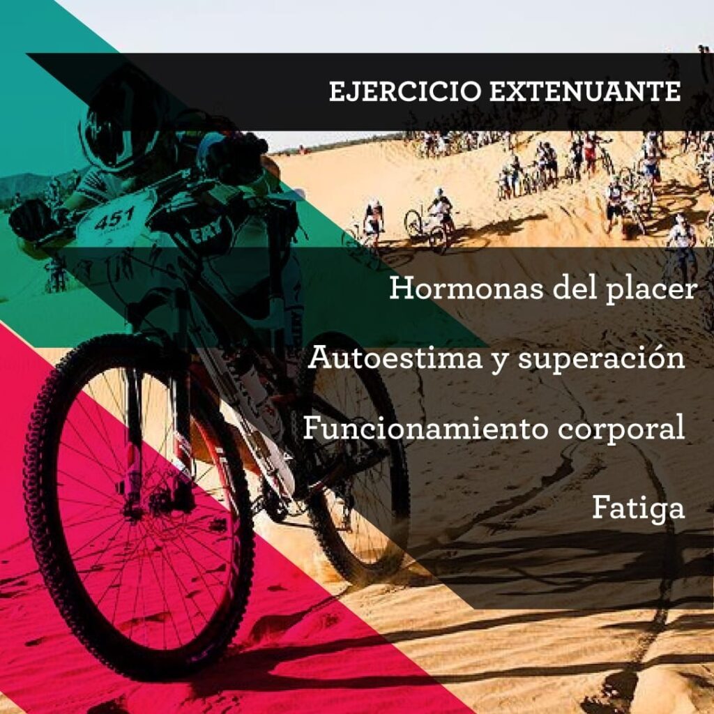 Ejercicio extenuante. | CarnivalBikes agosto 2022